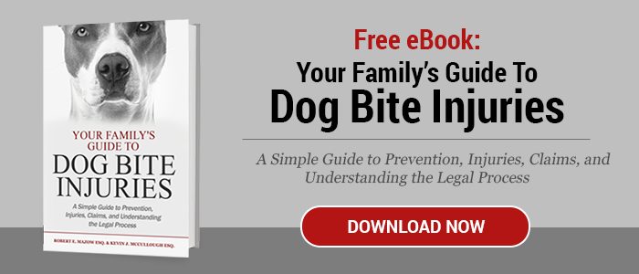 Dog Bite Injuries to Postal Workers in MA